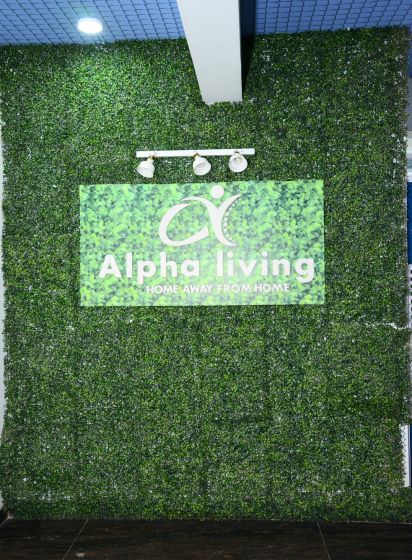 Best Homely Hostel, PG & Coliving in Bangalore | Alpha Living PG